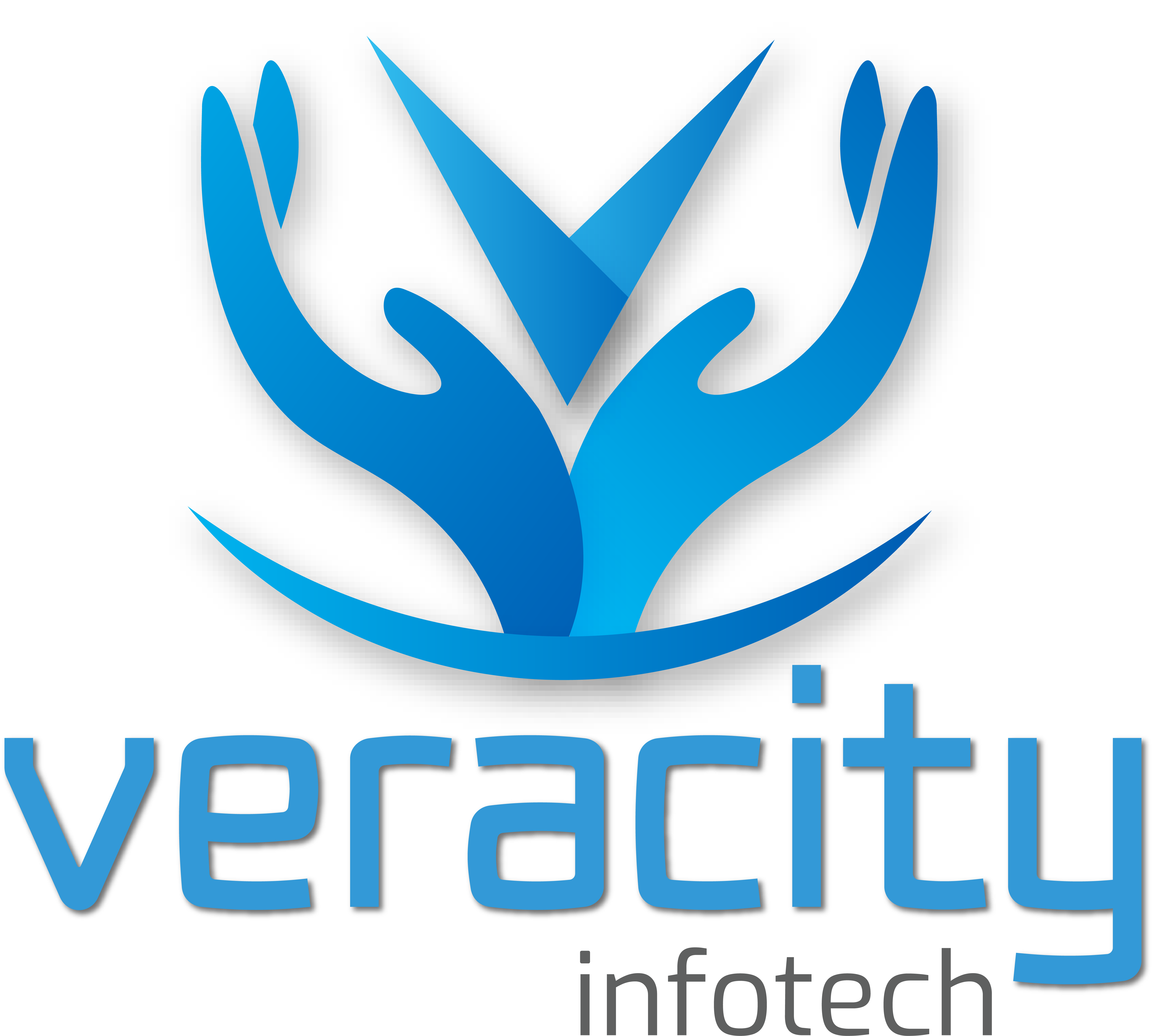 Veracity InfoTech